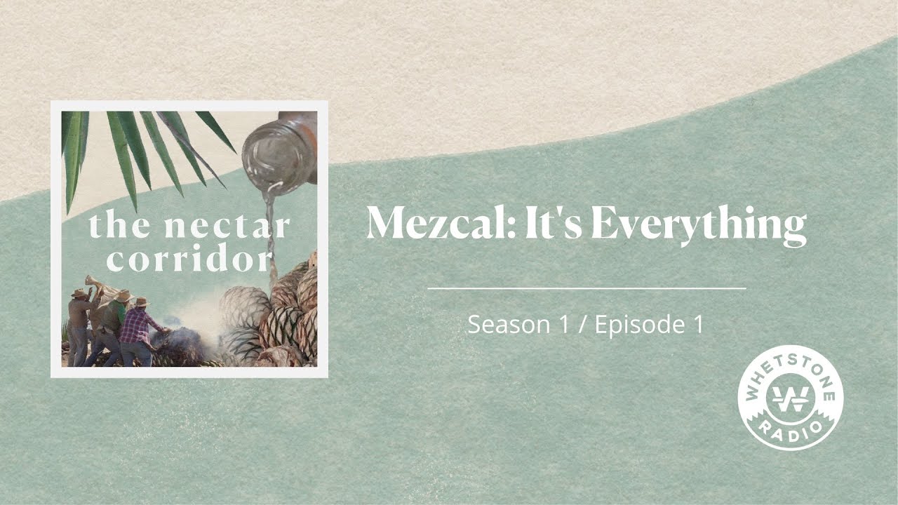 The Nectar Corridor: Episode 1 - YouTube