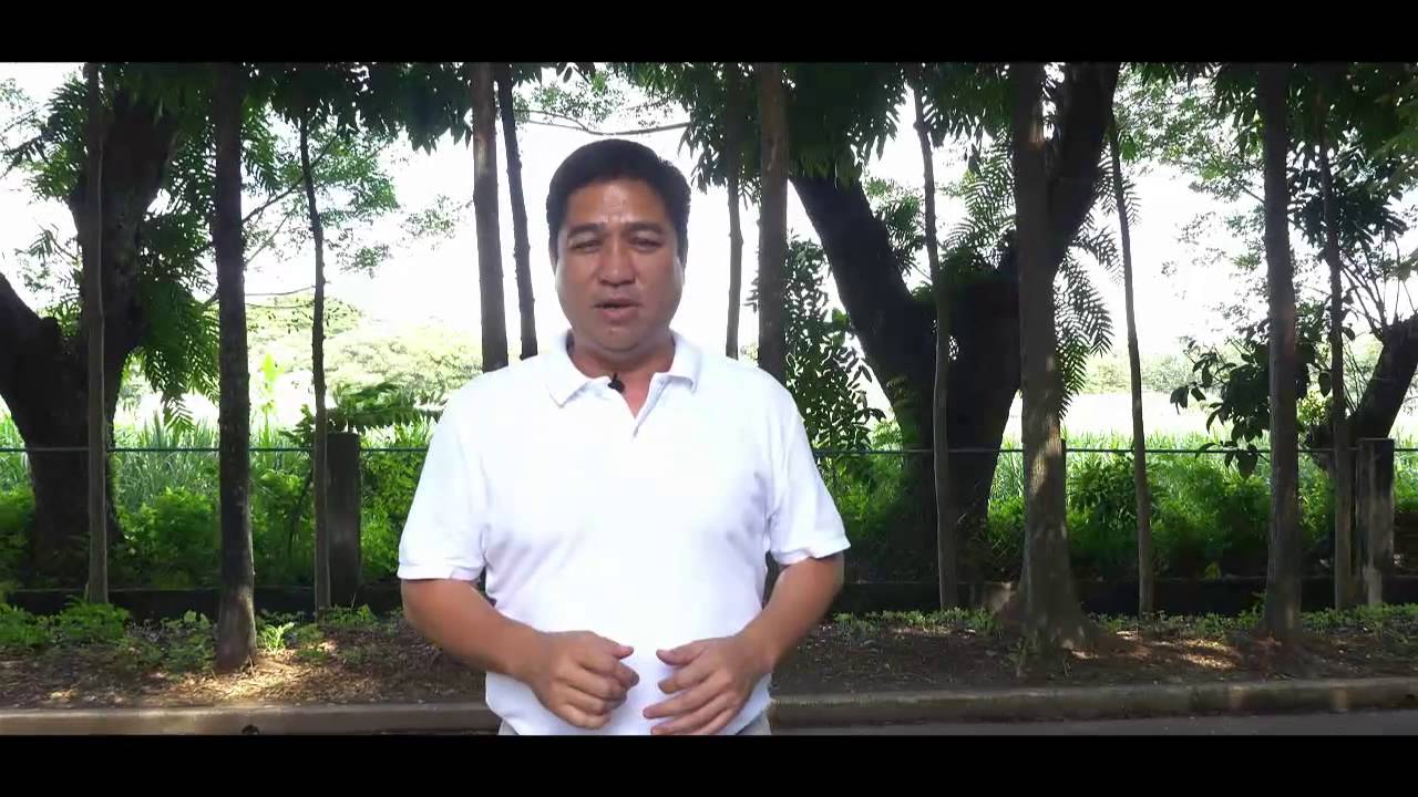 VICE MAYOR VIDEO FOR CABIAO WEBSITE FINAL - YouTube
