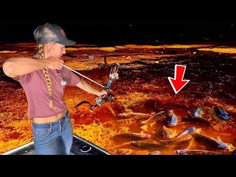 BOWFISHING Invasive Species in Florida ACTION PACKED {Feat. DeerMom} - YouTube