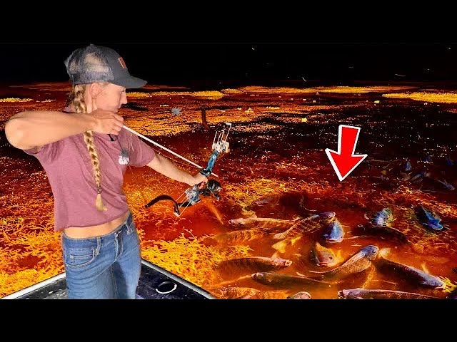 ESBN ® Entertainment & Sports Bikini Network