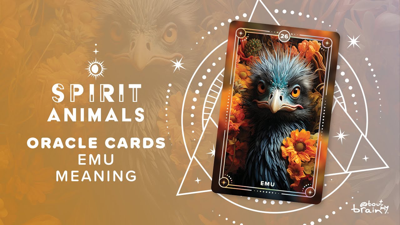 Emu Spirit Animal | Symbolism & Meaning Explained - YouTube