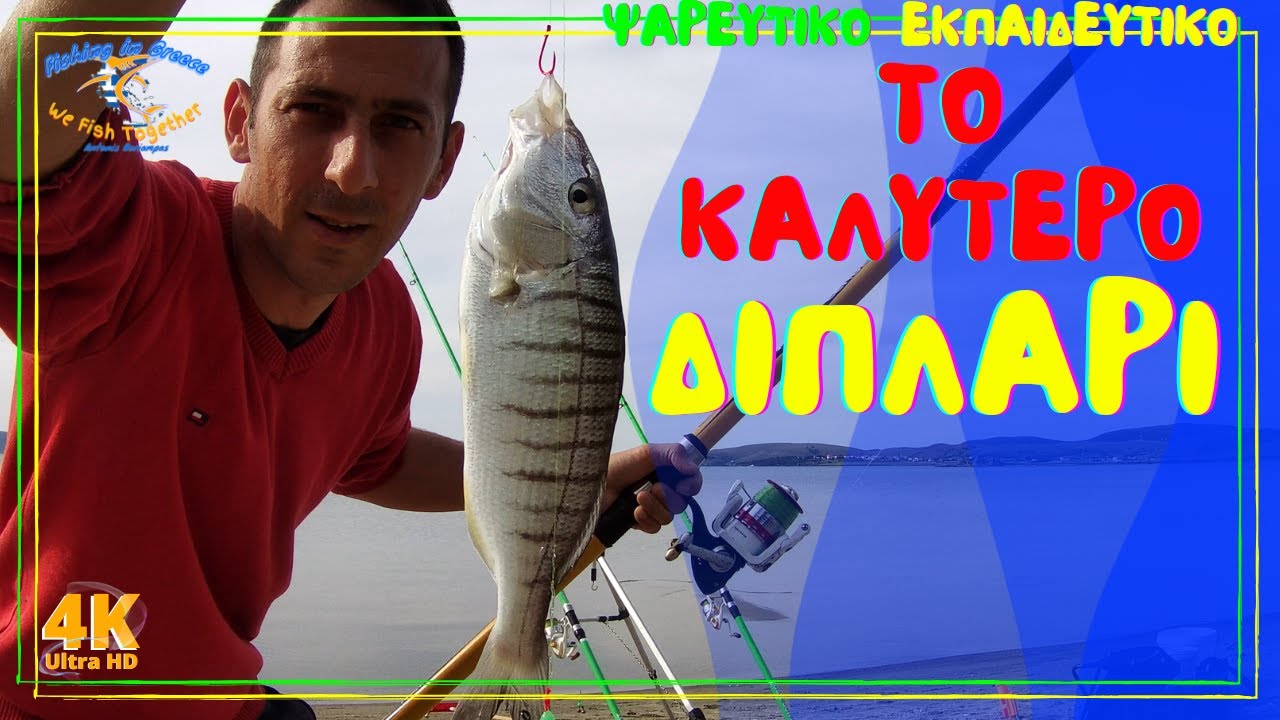 ΓΙΑΤΙ ΕΠΙΛΕΓΩ ΤΟ ΣΥΓΚΕΚΡΙΜΕΝΟ ΔΙΠΛΑΡΙ ΓΙΑ ΤΟ ΨΑΡΕΜΑ ΜΟΥ - YouTube