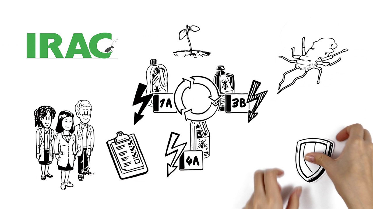 (French) Insecticide Resistance Management from IRAC - YouTube