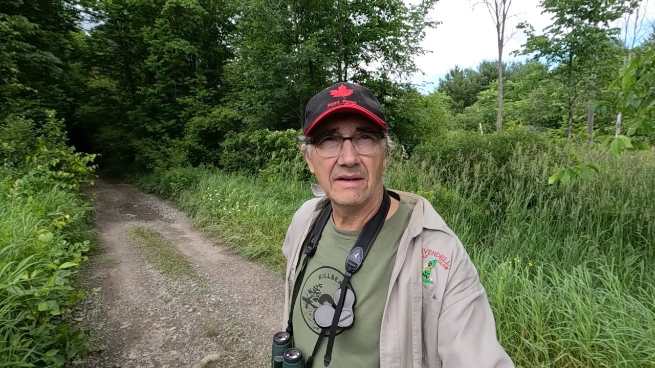 Hiking the Unmaintained Stretch of Norway Lake Road Into Puzzle Lake ...