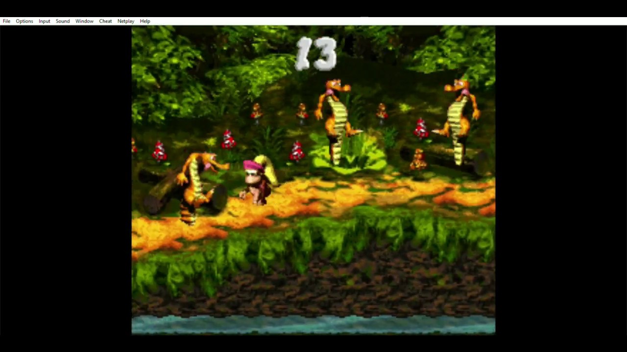 donkey kong 3 all bonus levels and dk coin riverside race! - YouTube