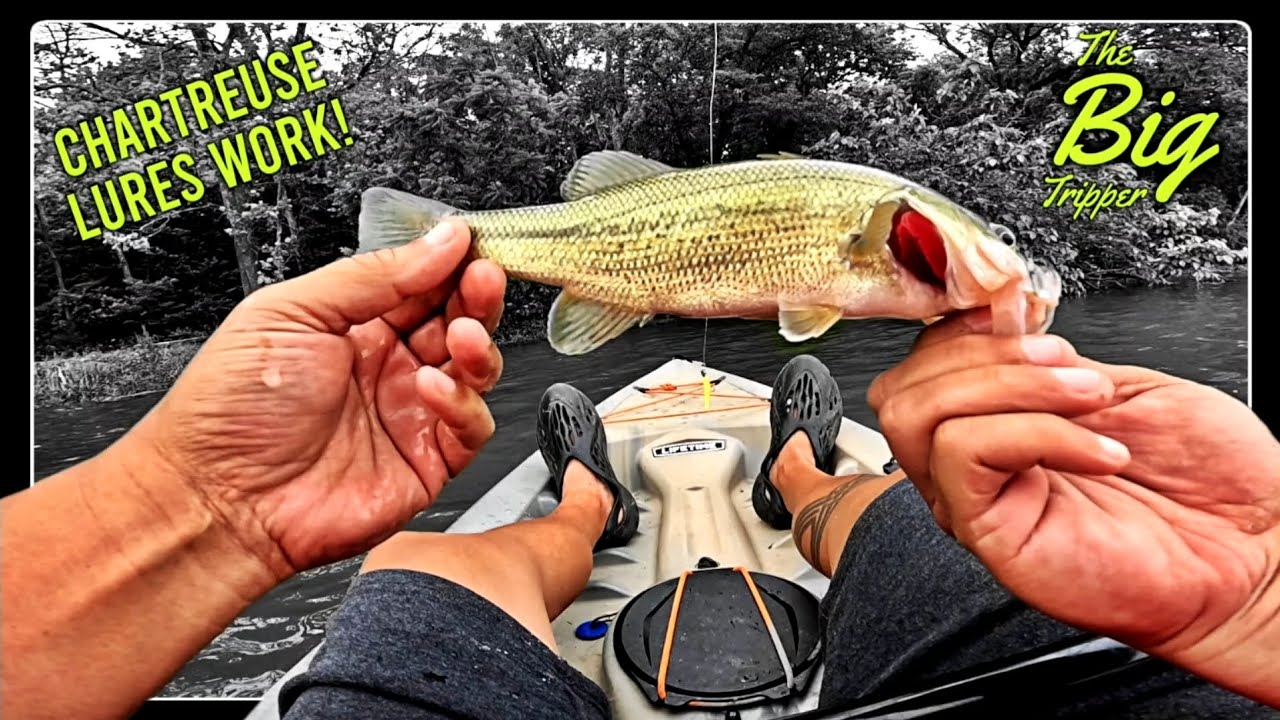 Chartreuse Lures Work! Multi-Species Kayak Fishing - YouTube