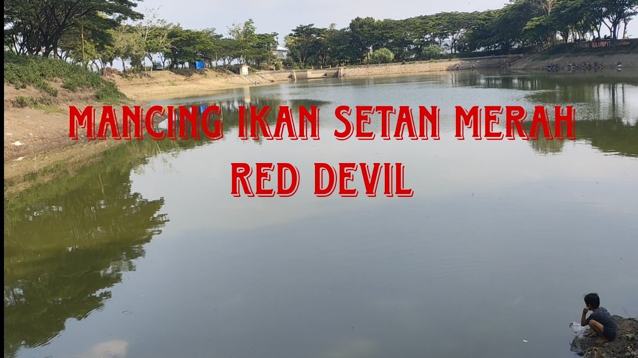 IKAN SETAN MERAH DI PANCING😱😱😱 - YouTube