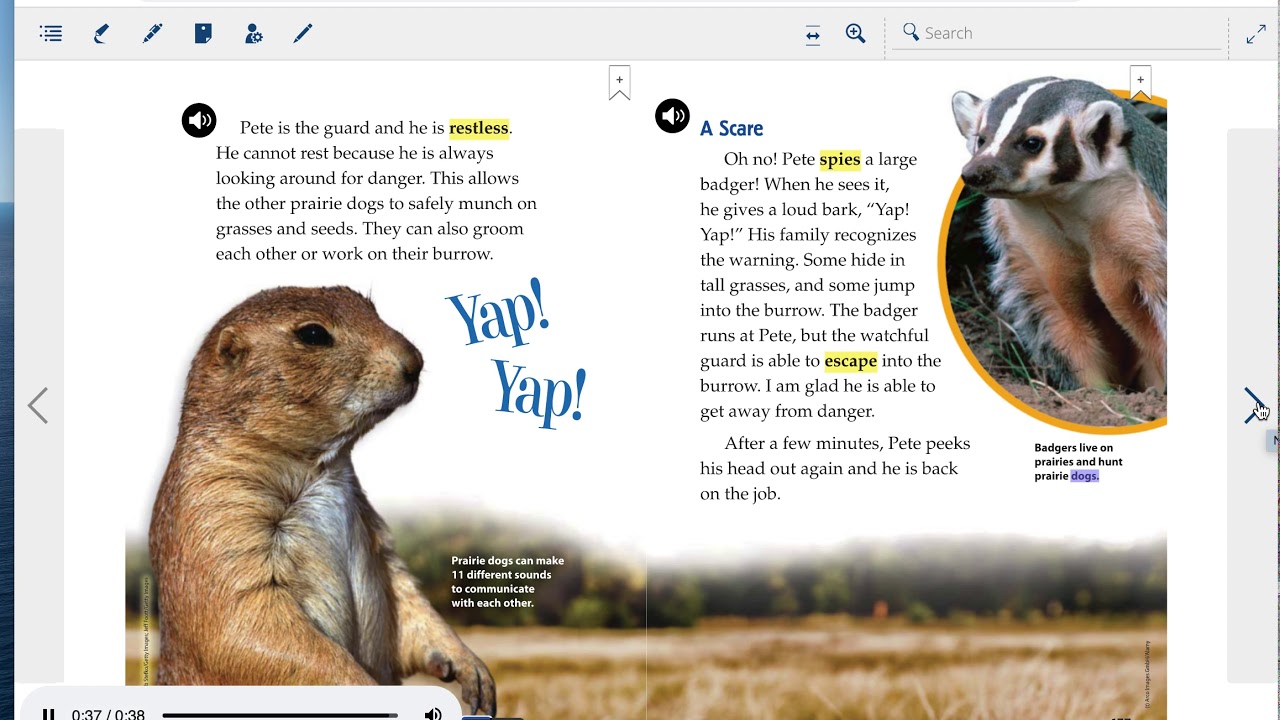 A Prairie Guard Dog Story Video - YouTube
