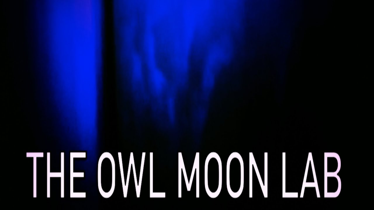 2020 Mothballed Owl Moon Lab doc. - YouTube