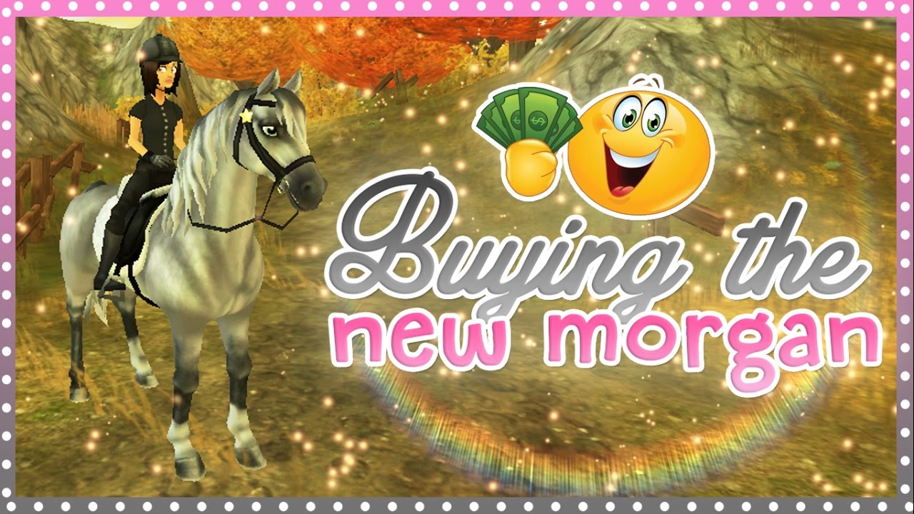Buying the NEW Morgan horse | Star Stable - YouTube