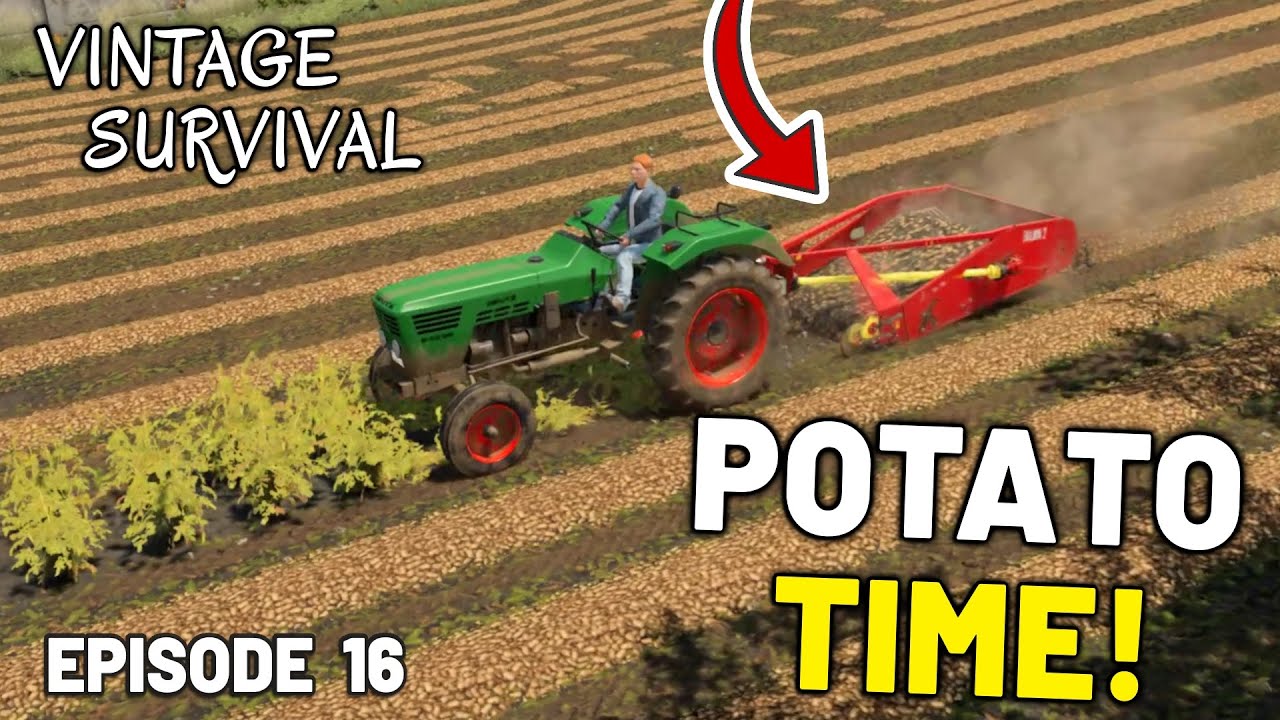 VINTAGE HARVESTING POTATOES! - Vintage Survival | Episode 16 - YouTube