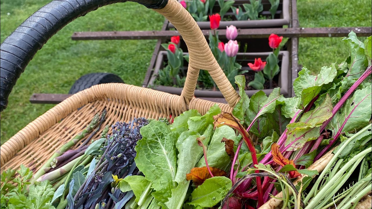 Spring Harvest - YouTube