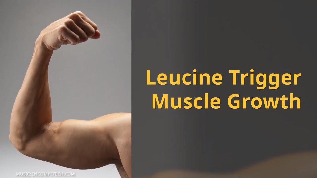 Do you know facts, How Leucine Trigger Your Muscle Growth - YouTube