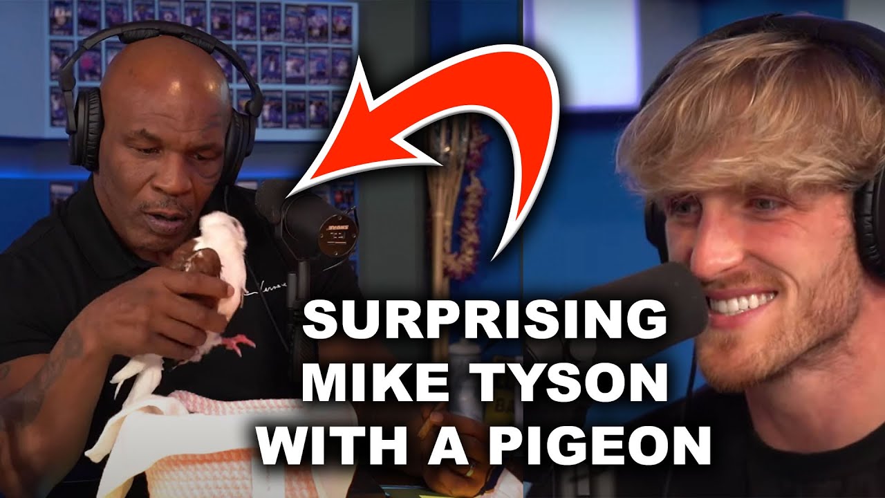 SURPRISING MIKE TYSON WITH A PIGEON *SHOCKED* - YouTube