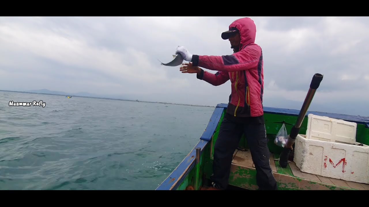 Traditional fishing QUEEN FISH - YouTube