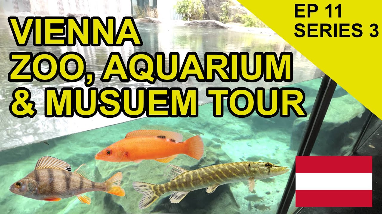 Austrian Fish Attractions!: Species Hunt (EP 51) - YouTube