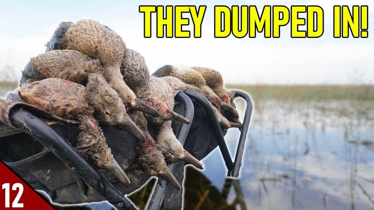 I Shot a TRIPLE! (Limited Out) | Duck Hunting Over a TINY Puddle! - YouTube