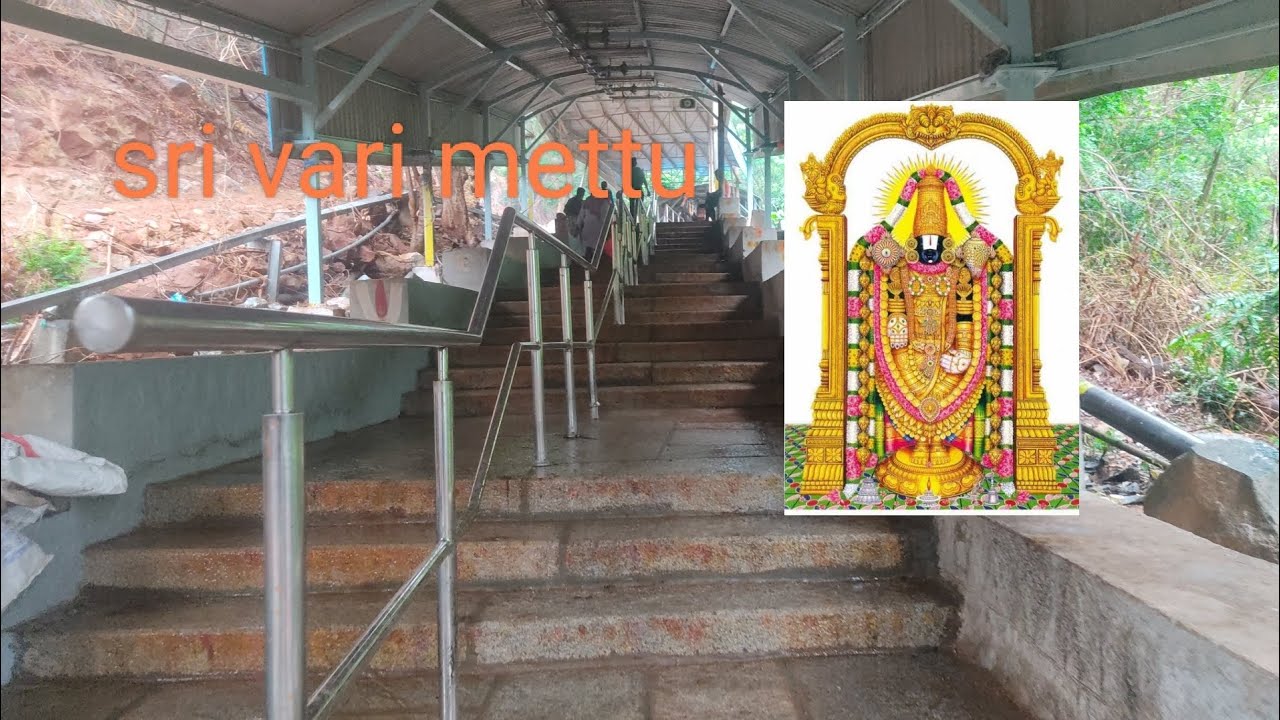 Om namo venkateshaya sri vari mettu starting #tirumala #tirupati save ...