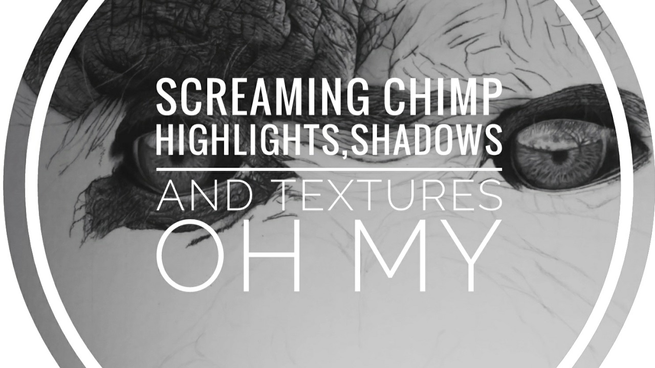 Screaming Chimp Highlights, Textures and Shadows - YouTube