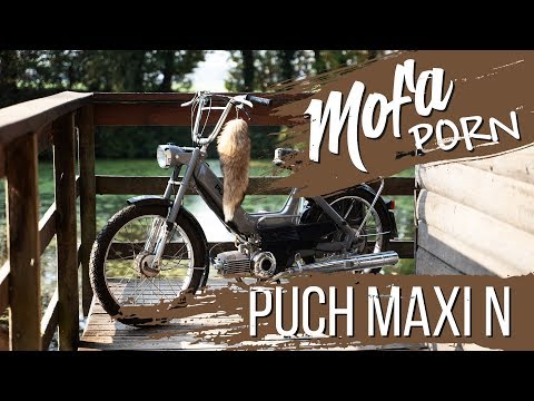 Mofaporn: Puch Maxi N – Die graue Maus | mofakult.ch