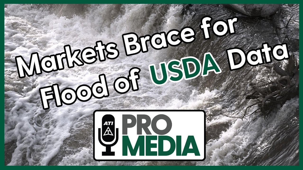 Markets Brace for Flood of USDA Data - YouTube