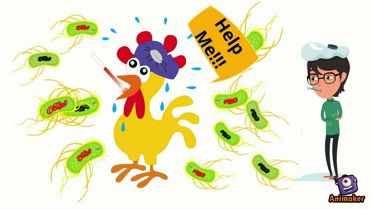 Halquinol Mode Of Action Second Version - YouTube