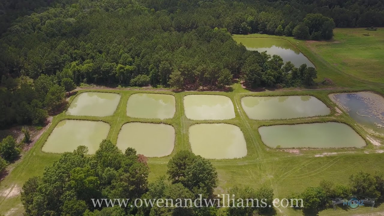 Owen and Williams Fish Farm - YouTube