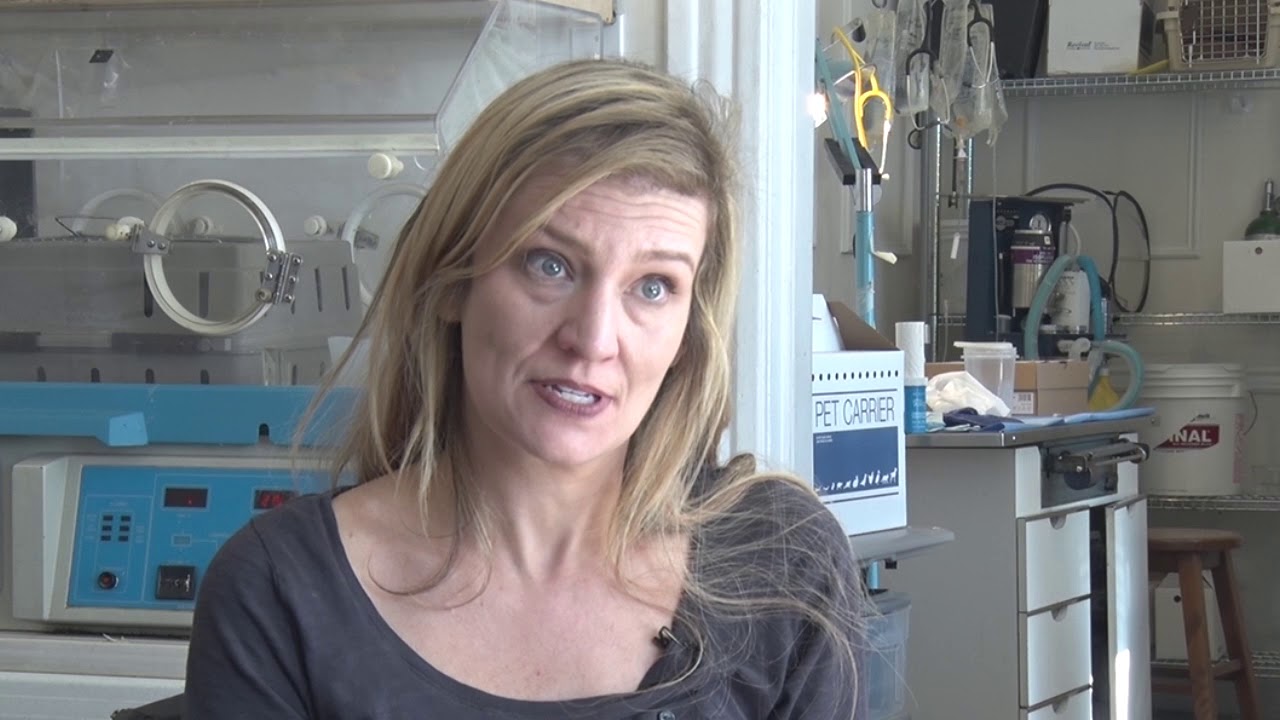 Philadelphia Metro Wildlife Center interview - YouTube