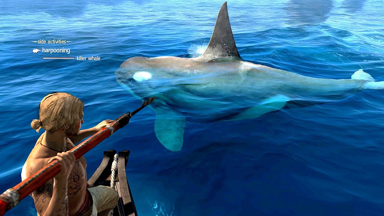 Assassin's Creed 4 Black Flag Harpooning & Stealth Kills - YouTube