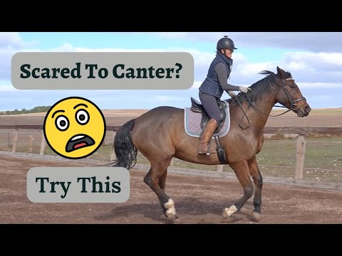 How To Canter On A Horse Without Fear
