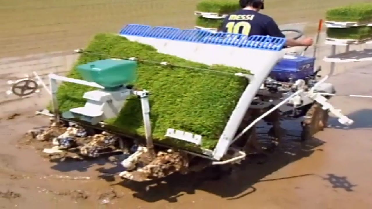 Planting Rice in Japan! - YouTube