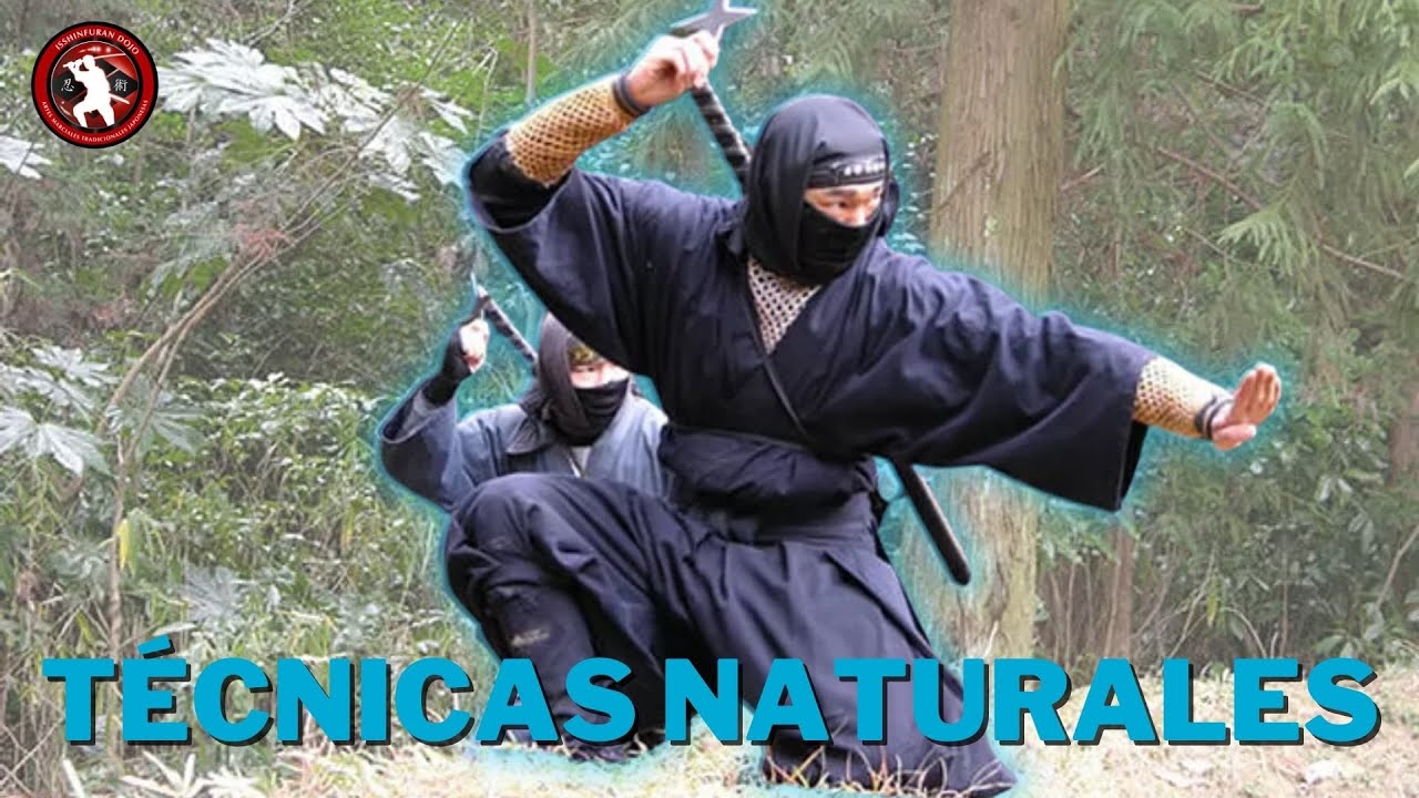Tecnicas De Ninjutsu Ninjutsu | Wiki Crónicas Shinobi | Fandom