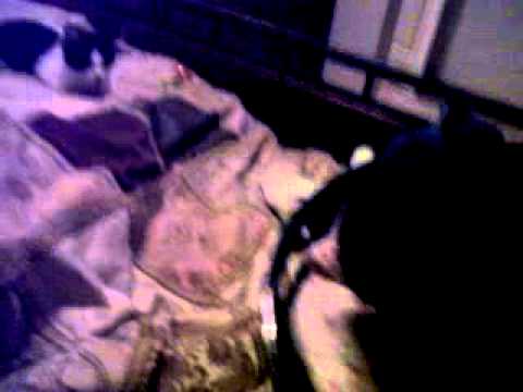 Max and Libby - YouTube