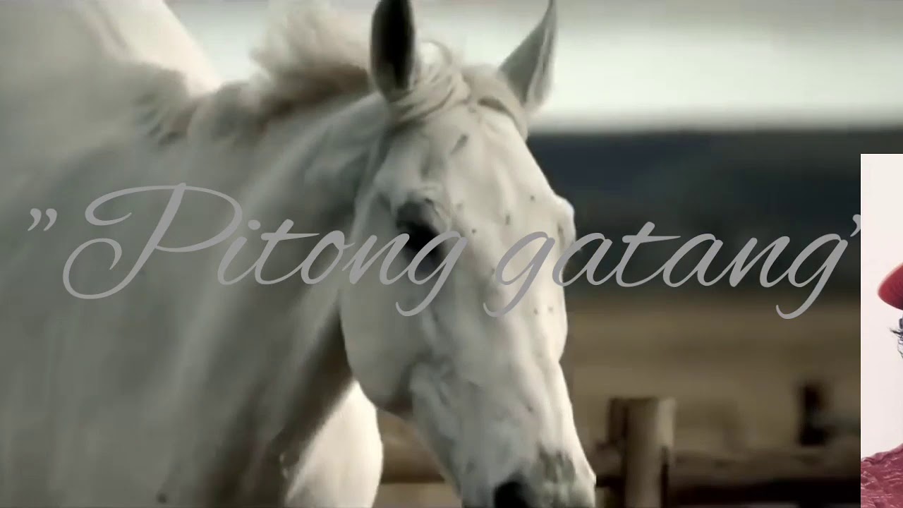 Pitong gatang - YouTube