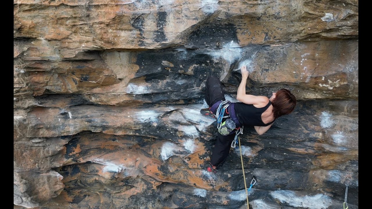 Learning from the Masters: Dr Stein (25) Logan Brae - YouTube