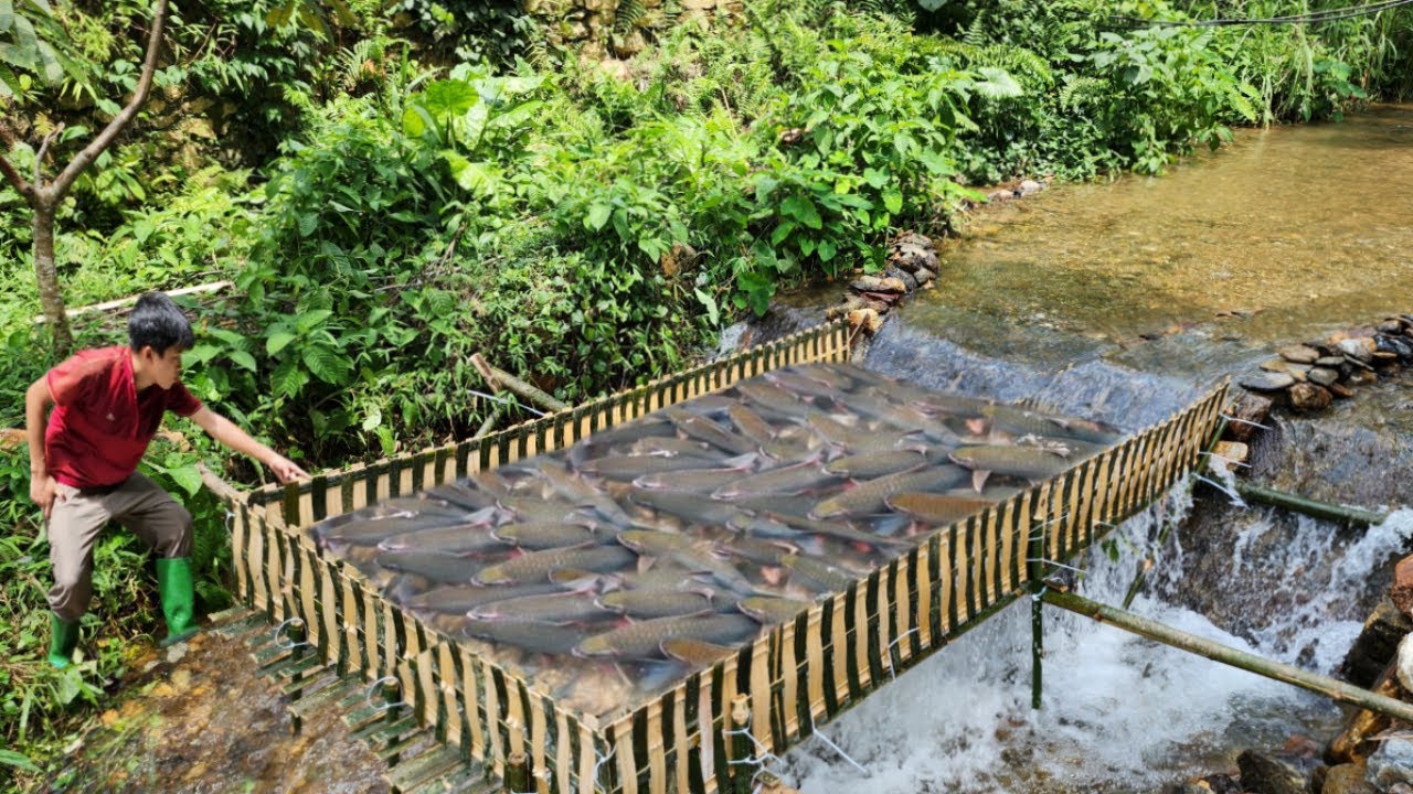 Talented boy shows off his skillful fishing skills. Weaving bamboo to ...