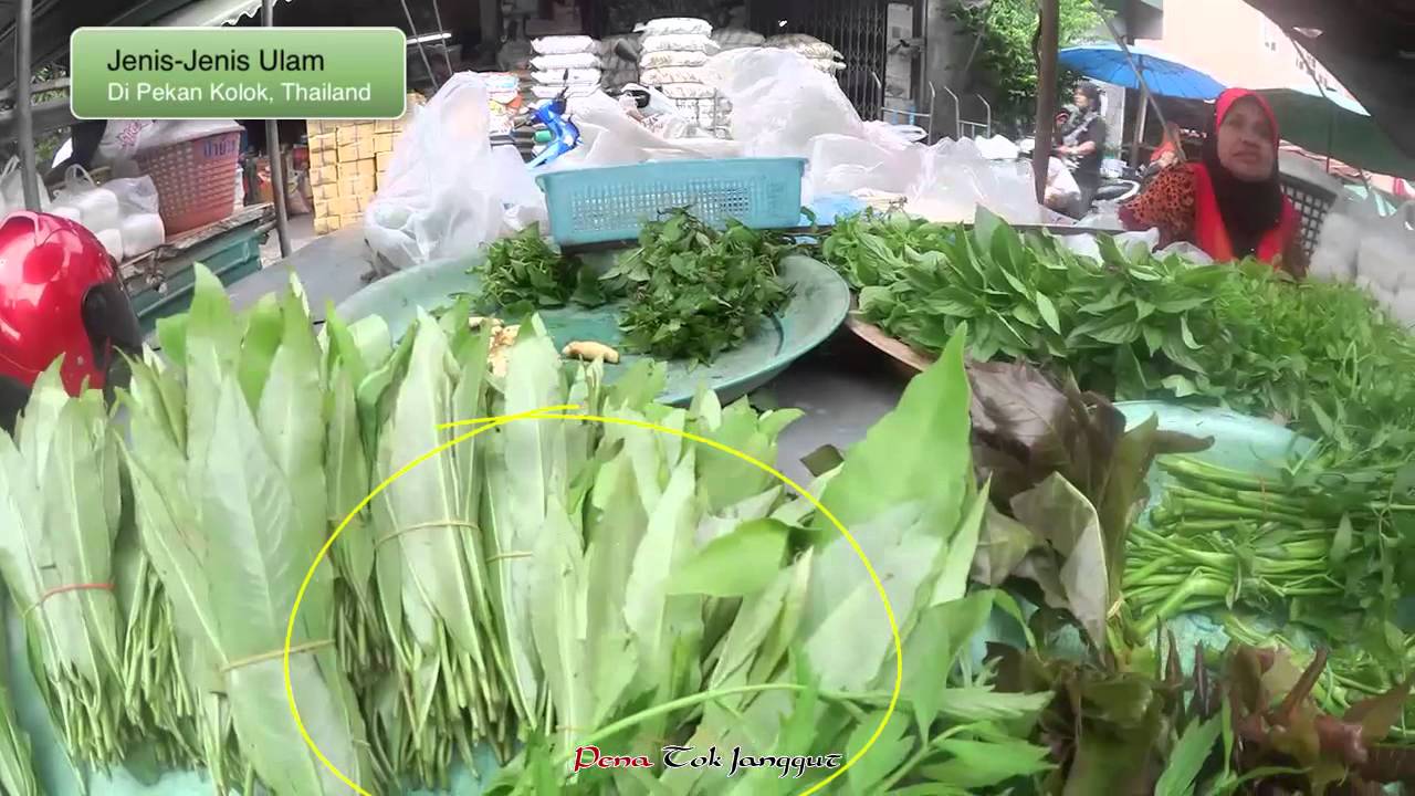 Jenis Jenis Ulam di Pekan Golok - YouTube