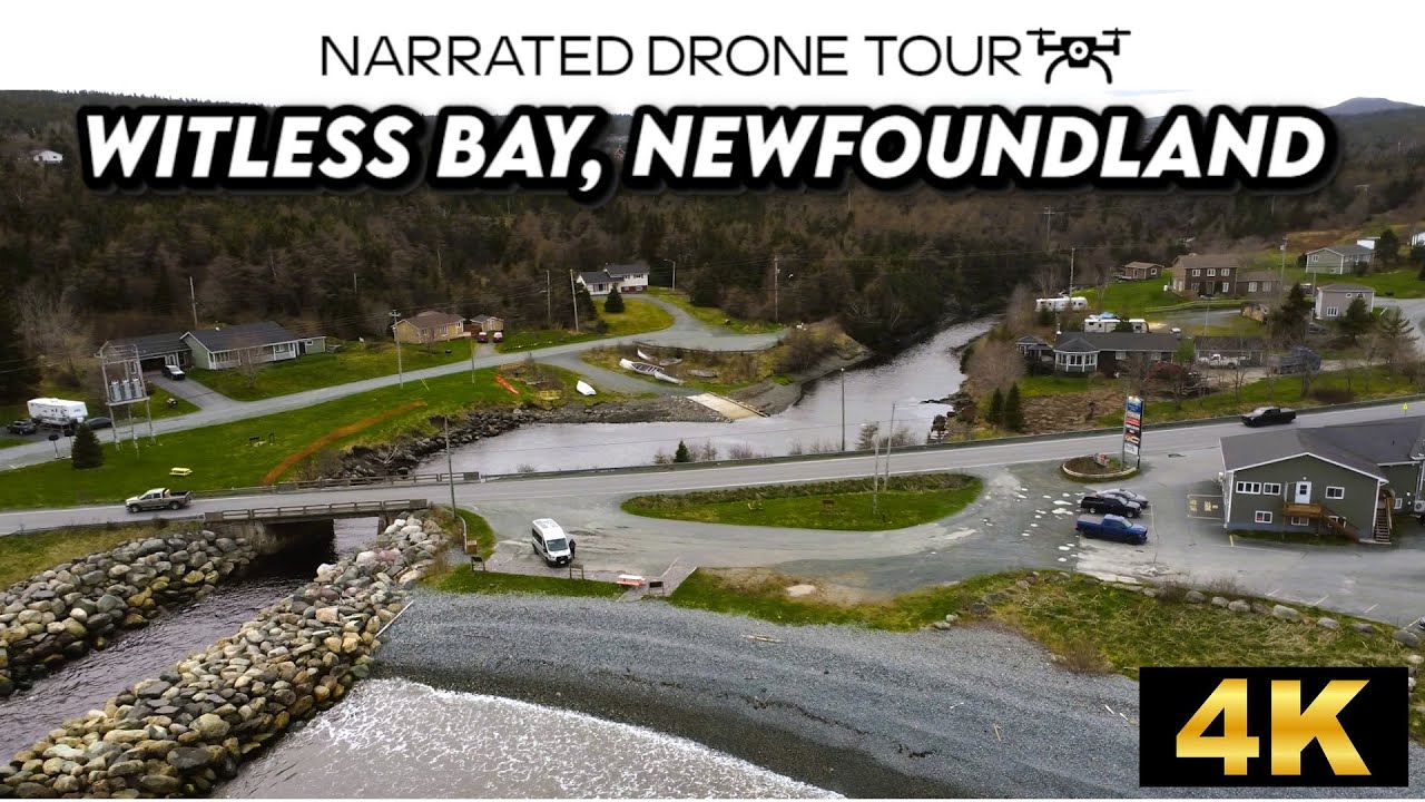 🛩️ Witless Bay, Newfoundland: Aerial Wonders in 4K! 🌊 - YouTube