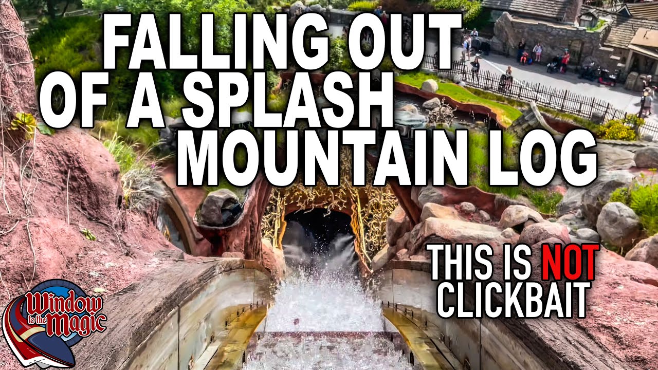 FALLING OUT OF A SPLASH MOUNTAIN LOG - NOT CLICKBAIT - YouTube