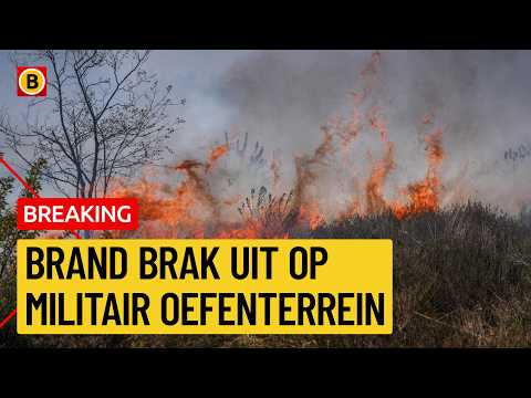 Zeer grote brand op Oirschotse Heide | Omroep Brabant