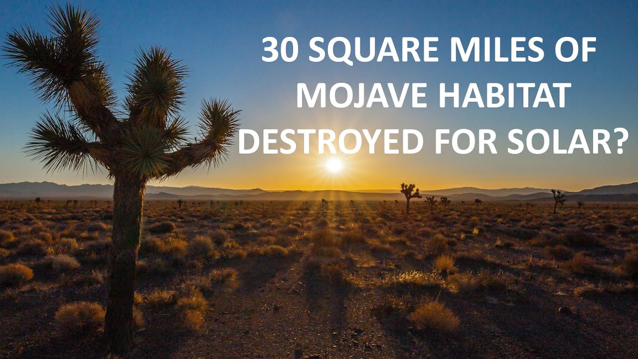 Desert Apocalypse, Episode 1: Yellow Pine Solar - YouTube