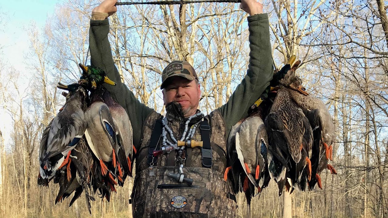 Late Season Limits In The Timber | Duck Hunting A 4-Wheeler Trail ...