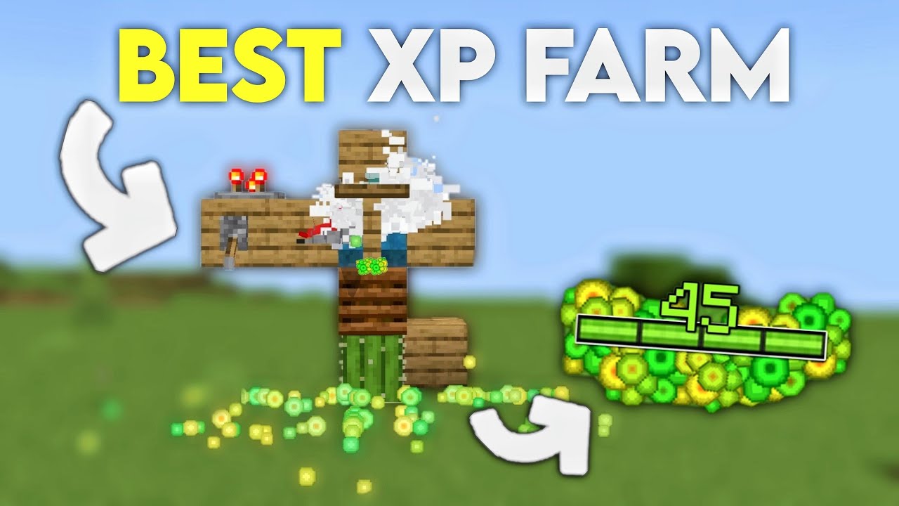 BEST Armadillo XP Farm In Minecraft 1.20 Bedrock Edition! - YouTube