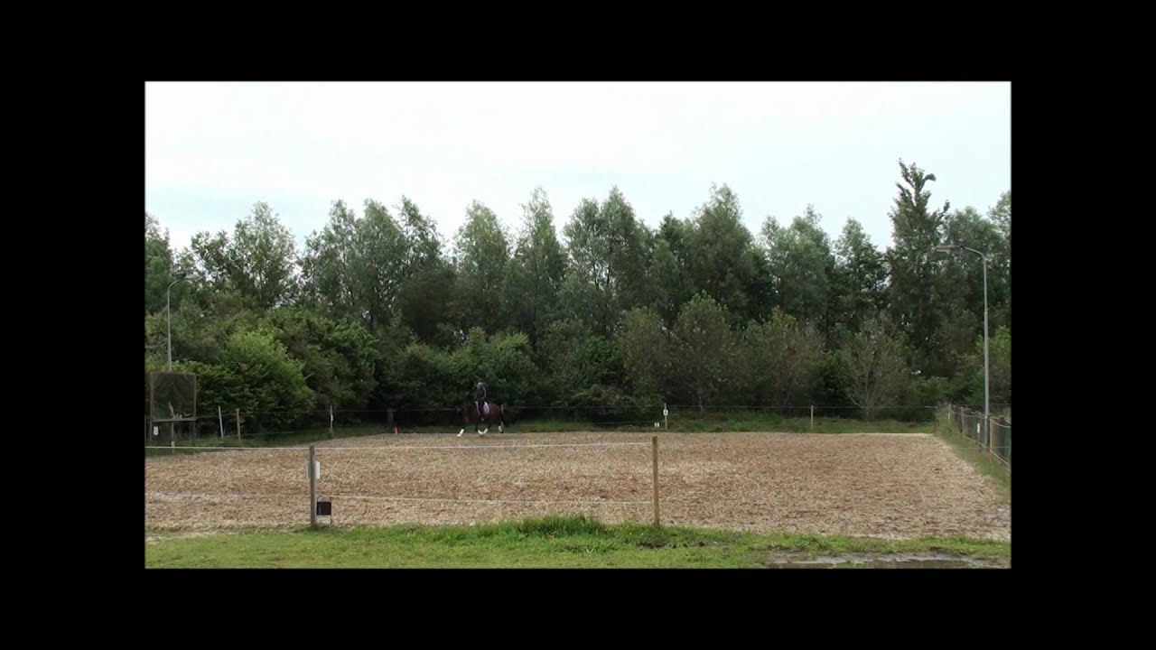 training demira v sorento alice besselink.wmv - YouTube