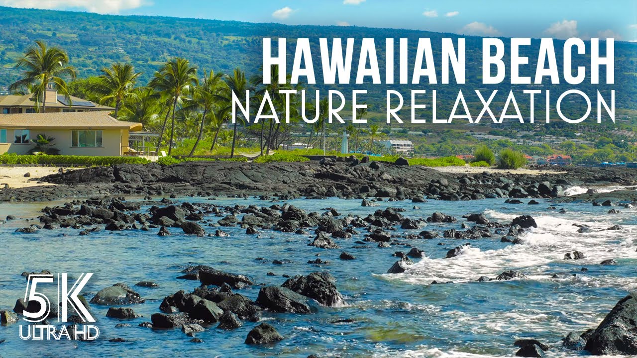 8 HRS Waves Sounds + Birds Chirping for Deep Relaxation & Stress Relief ...