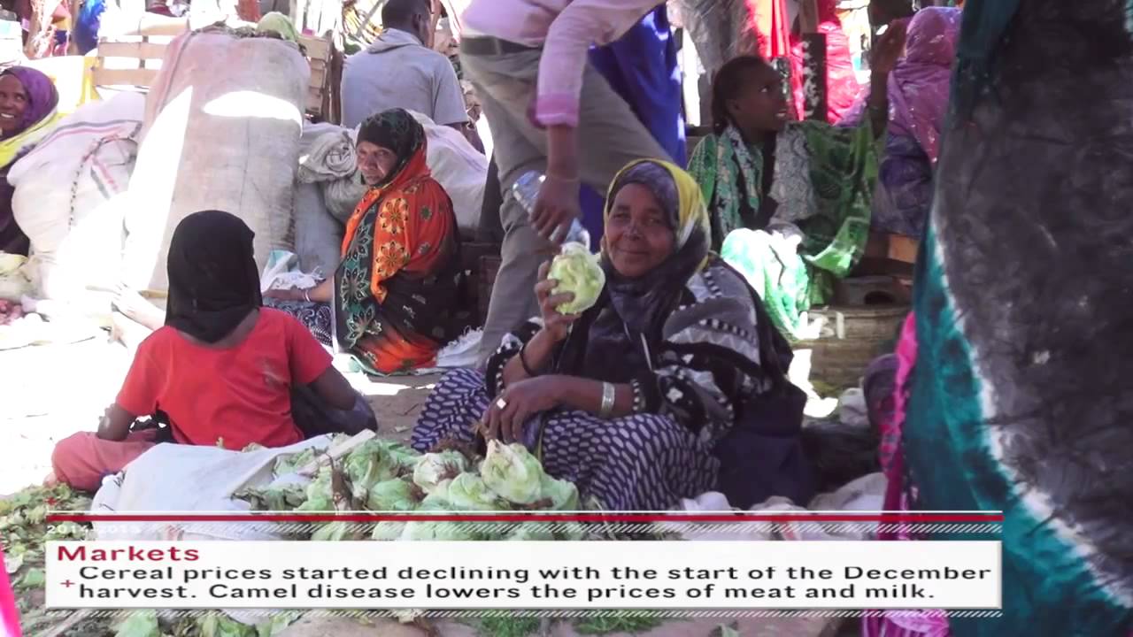 Over 730,000 people across Somalia face acute food insecurity - YouTube