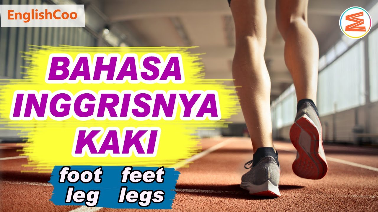 Bahasa Inggrisnya Kaki | Perbedaan Foot Feet Leg | Contoh Kalimat ...