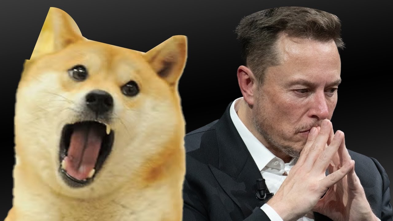 Elon Musk is NOT the Head of DOGE.. What Can Doge ACTUALLY Do? - YouTube