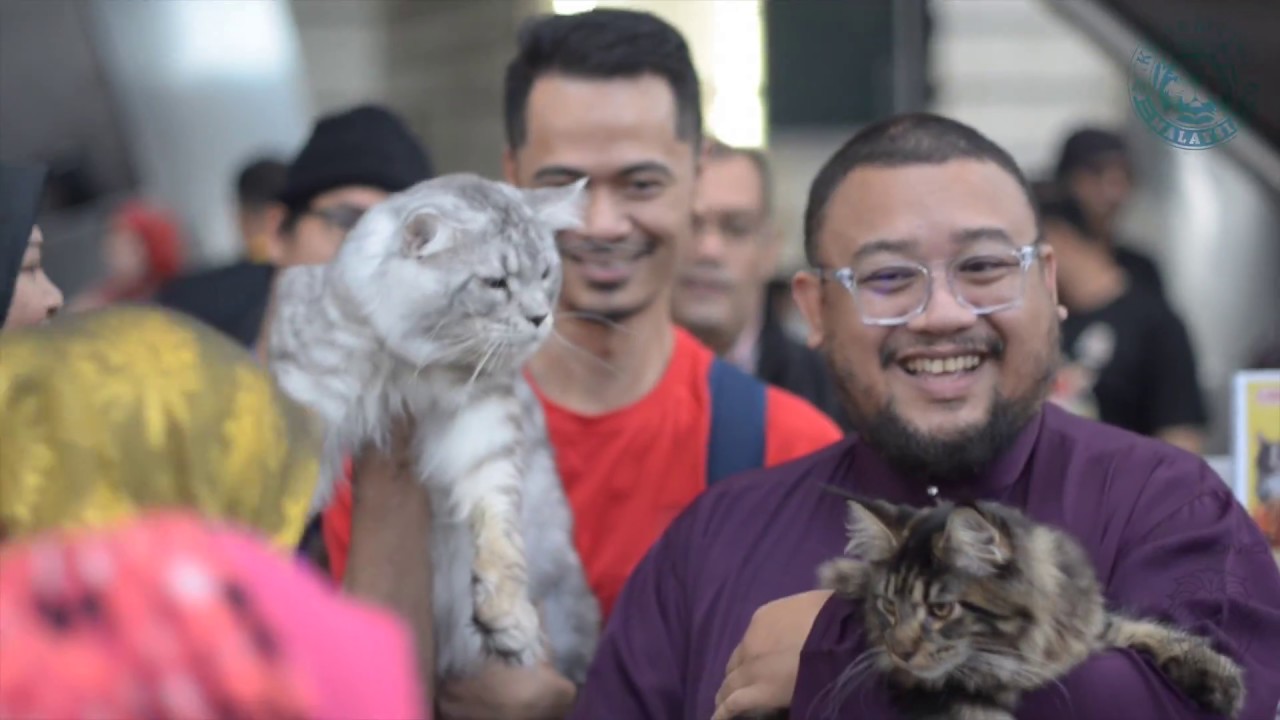 KELAB KUCING MALAYSIA | PUTRAJAYA ANIMAL LOVERS 2018 - Part 1/3 - YouTube
