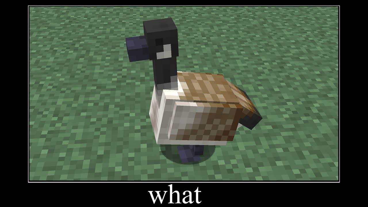 WAIT WHAT (Minecraft Memes) #22 DUCKS - YouTube